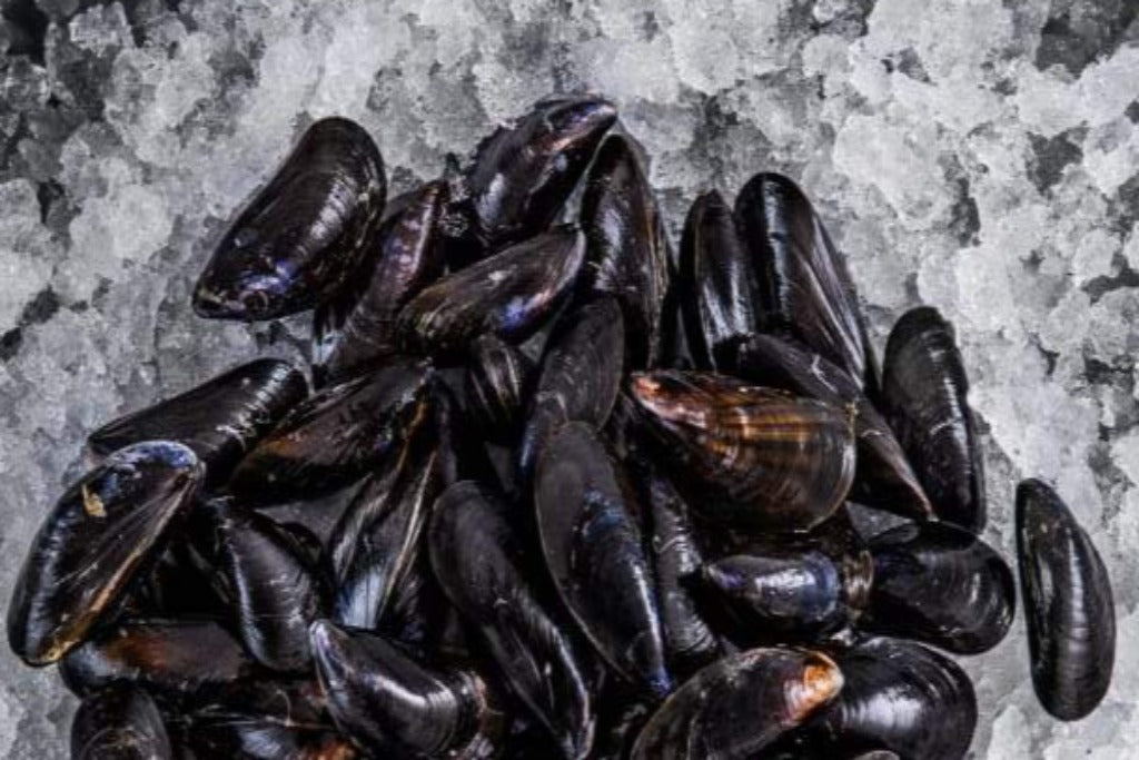 Black Mussels (1lb) – P&N Foodservice